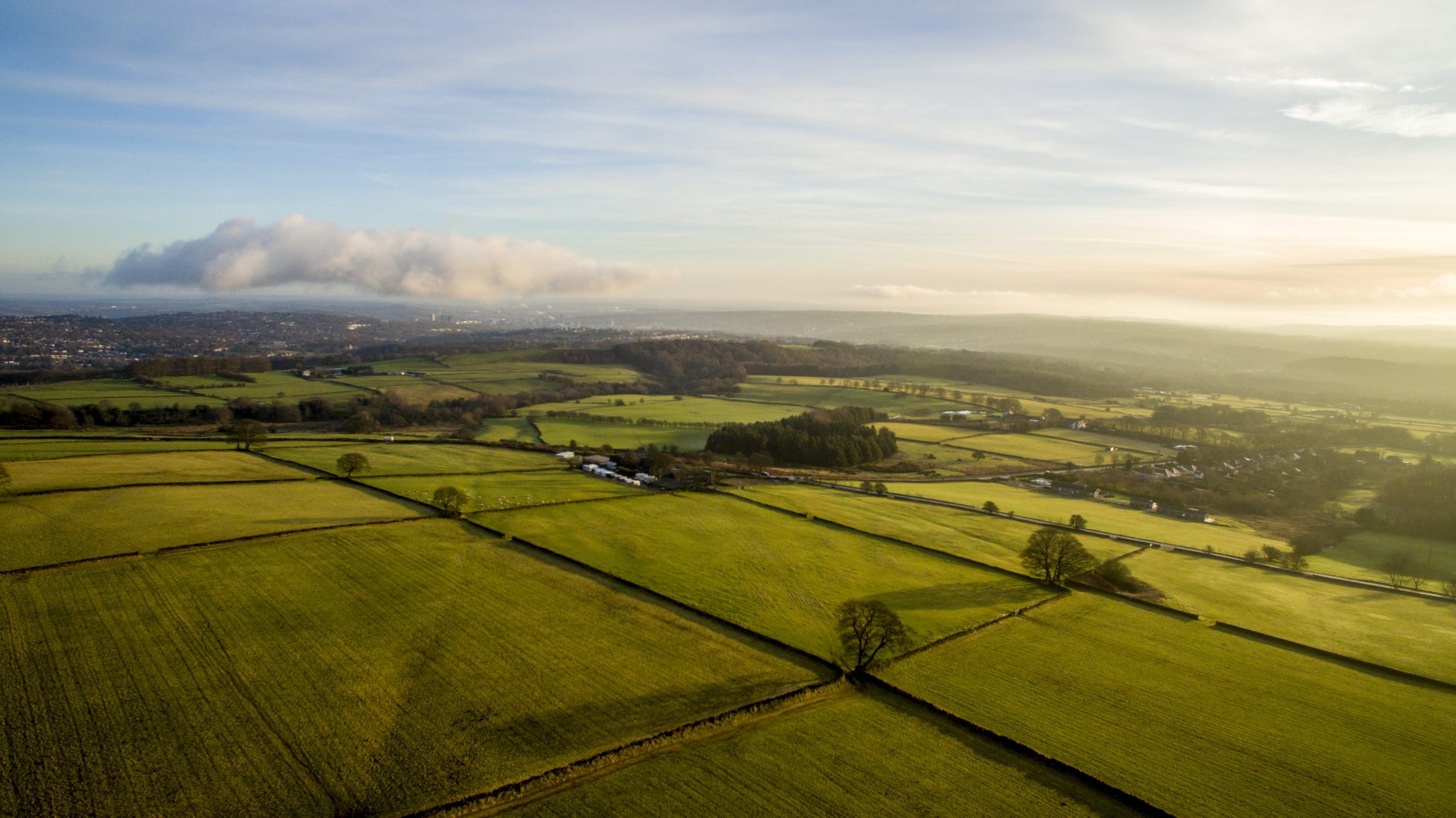 Go Green Initiative - Walker Miller